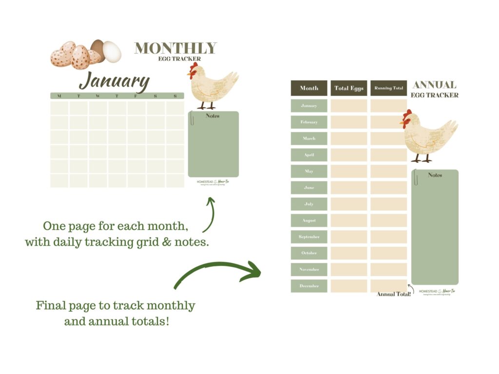 Monthly Egg Tracker for Chickens – Homestead How-To