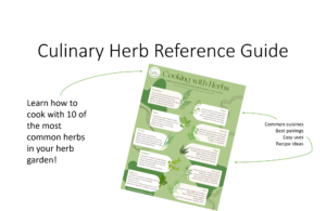 Culinary Herb Reference Guide Printable – Homestead How-To