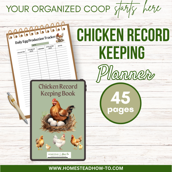 Chicken Record Keeping Book – Homestead How-To